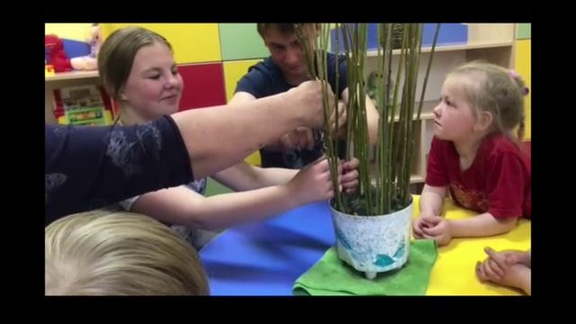Семья Акимовых (Центр семьи «Шарьшовский») «Семейное дерево»