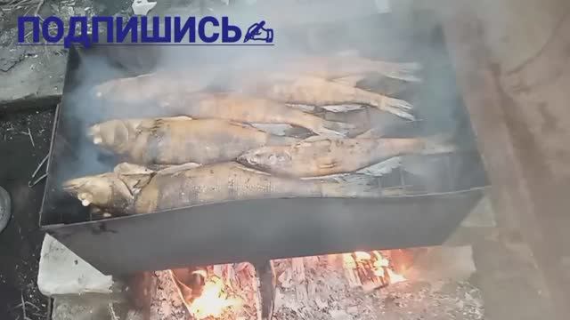 Судак горячего копчения. Коптим рыбу.