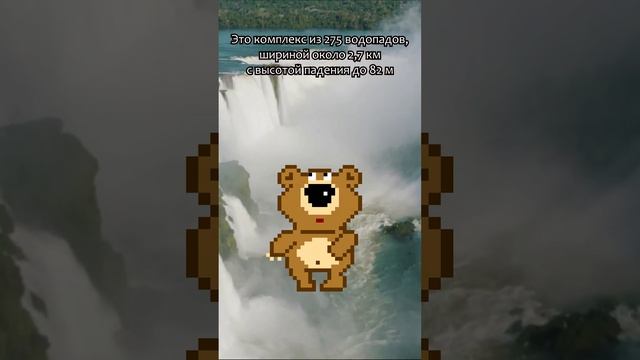 Мишка и водопады Игуасу