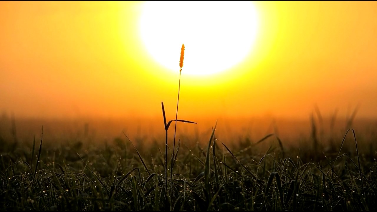 Восход Новой жизни. Обращение к родителям детей-аутистов.mp4