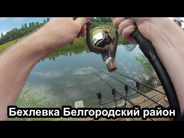 Рыбалка в Бехлевке Белгородский район.