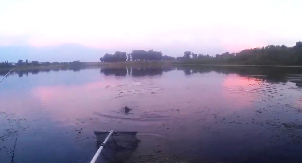 Вечерняя зорька на Ахтубе с соседкой по даче карась плотва и синец в улове.