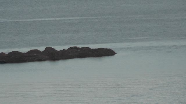 Вид из номера отеля Vinpearl