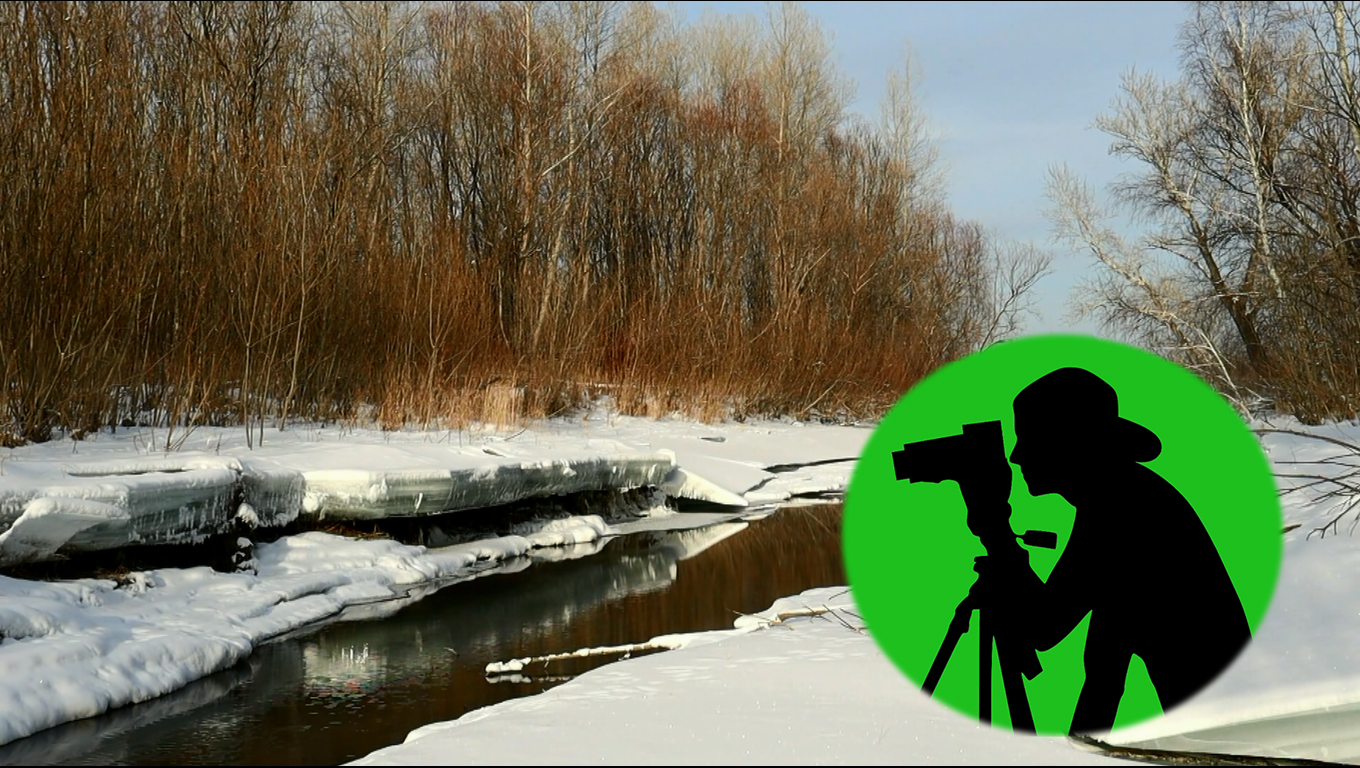 Тихое журчание ручья в зимний день / Звуки природы для отдыха, крепкого сна и лечения депрессии