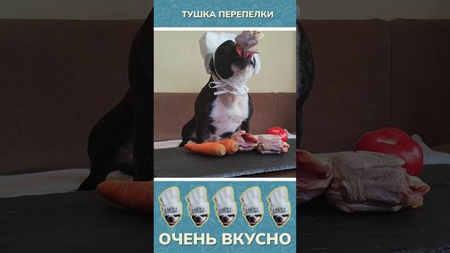 Тушка перепелки! Оценка от стаффи 🍽️ #стаффи #повар #рецепт #собака #кухня #перепелка #животные