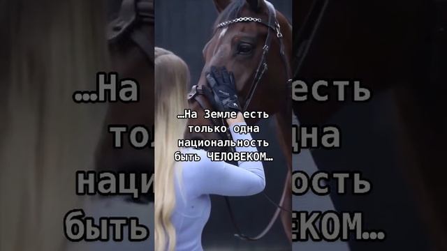 Цитата дня.mp4