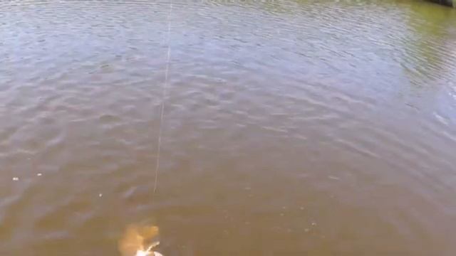 Лучшие моменты с рыбалок 2019