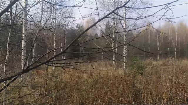 еще один выезд на охоту.mp4