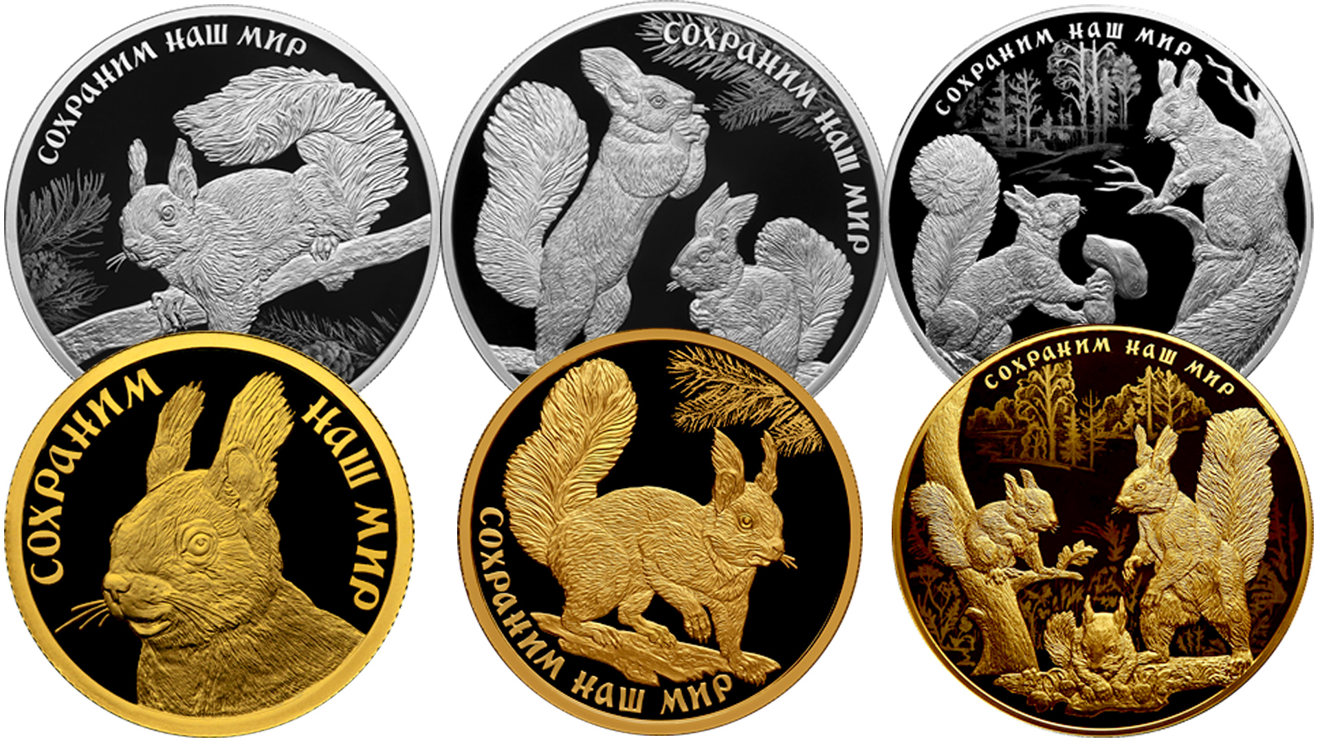 6 новых монет Банка России. Белка обыкновенная.