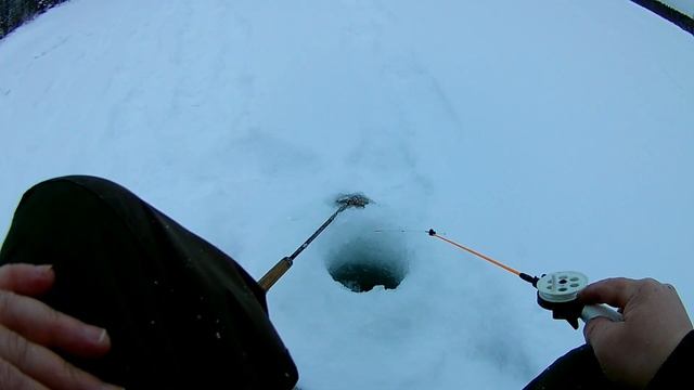 Очередная рыбалка на лесном пруду.