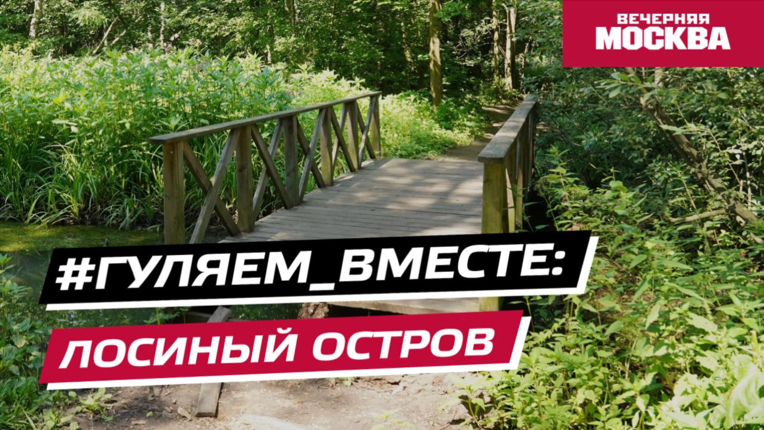 #Гуляем_ВМесте: Лосиный остров