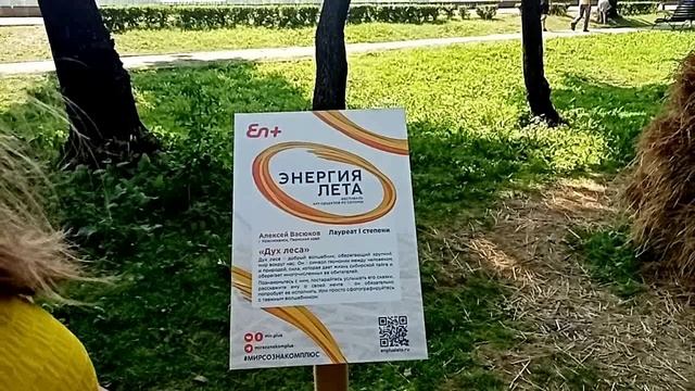 Соломенные фигуры. Иркутск июль 2023