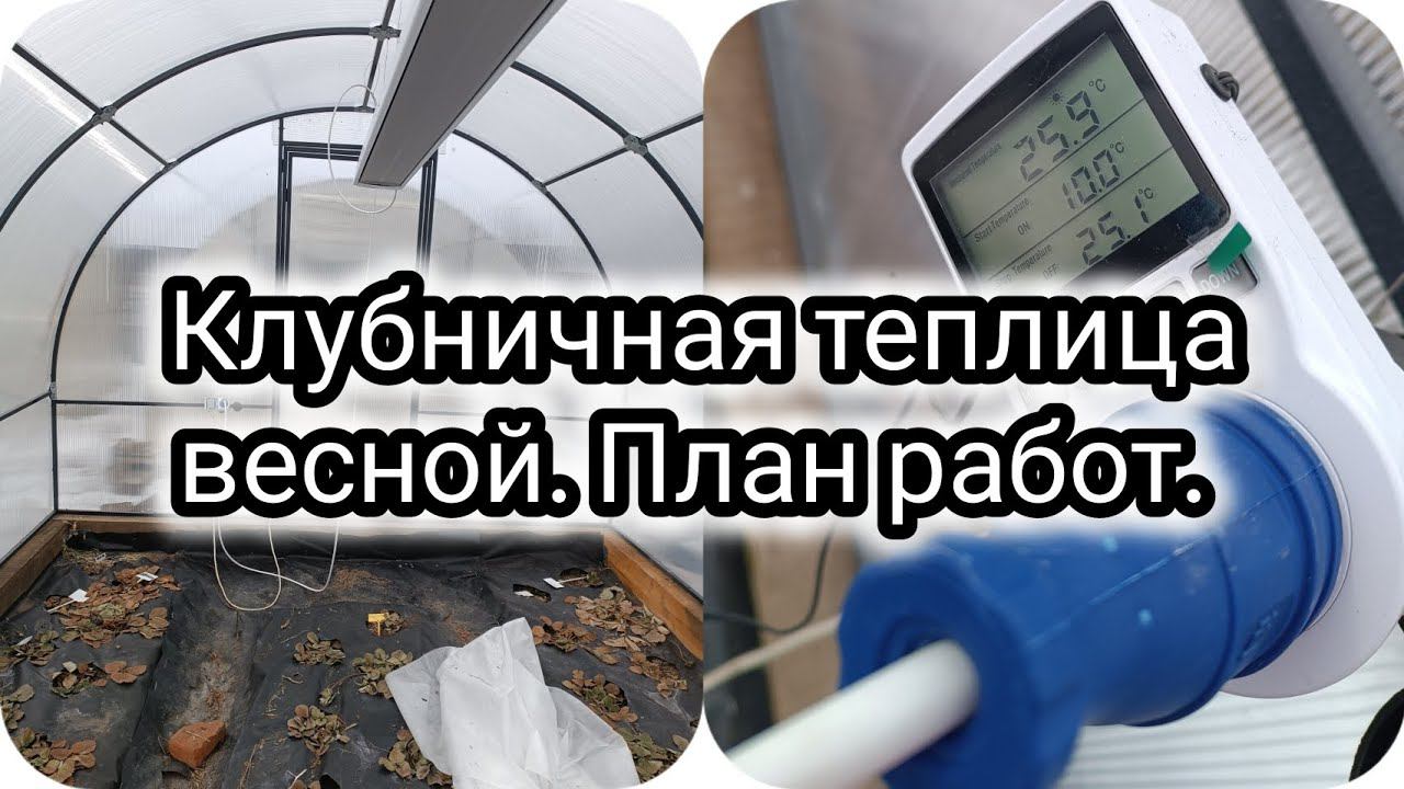 Клубничная теплица весной. План работ перед запуском нового сезона.