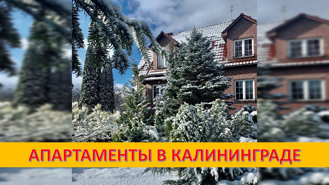 Апартаменты в Калининграде.