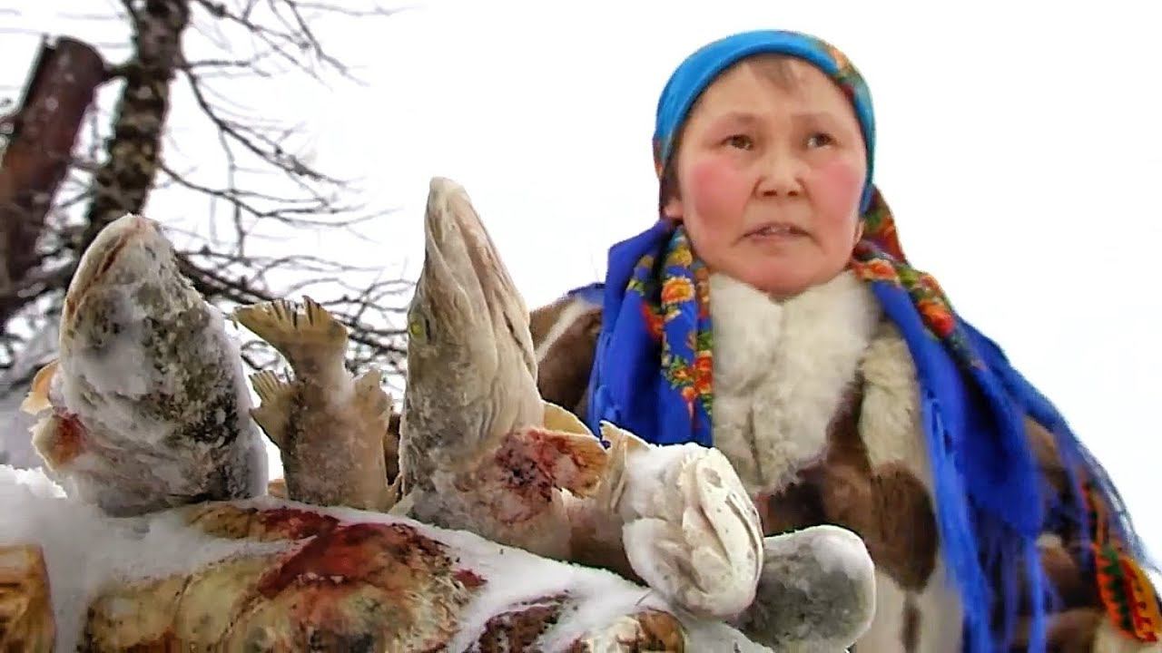 Полярные истории: "Душа тундры"