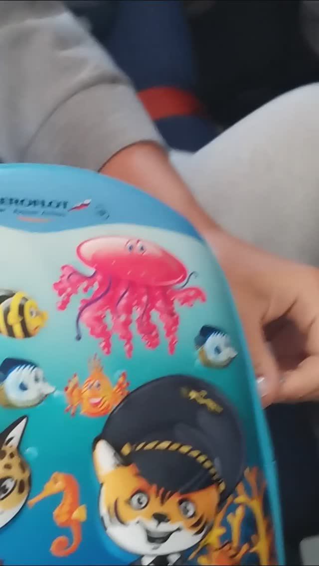 Еда и подарки на рейсе аэрофлота Мальдивы (Мале) - Москва