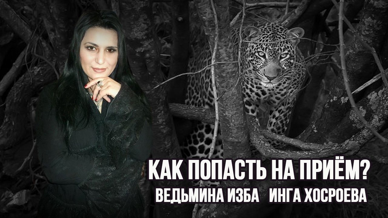 КАК ПОПАСТЬ НА ПРИЁМ ВЕДЬМИНА ИЗБА |ИНГА ХОСРОЕВА