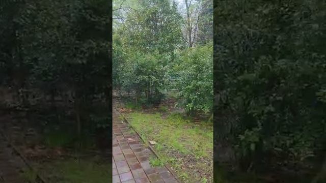 СОЧИ 2023 Мы приехали. #shorts