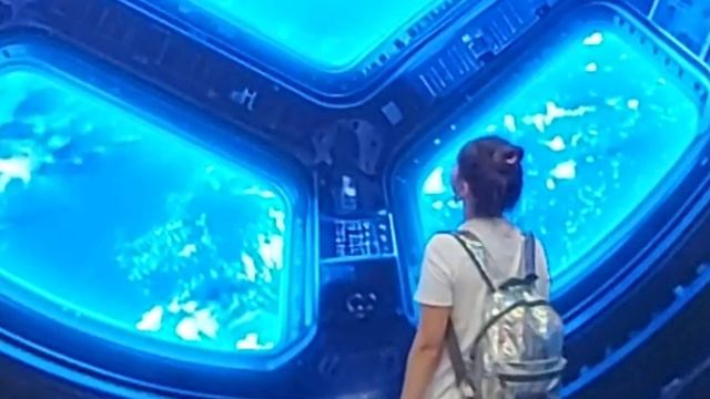 Natalia Lin Mo - Astronaut in the ocean (Masked Wolf  кавер)