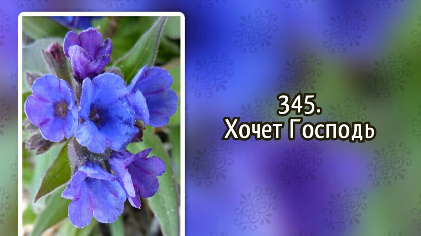 Гимны надежды 345 Хочет Господь (-)