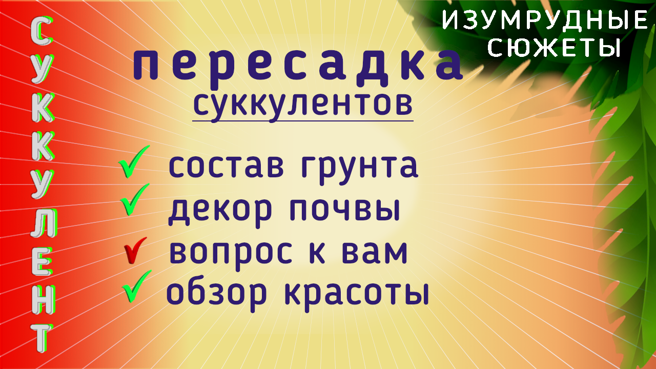 Пересадка Суккулентов.   Состав грунта. Минисадики.  Декор Почвы.