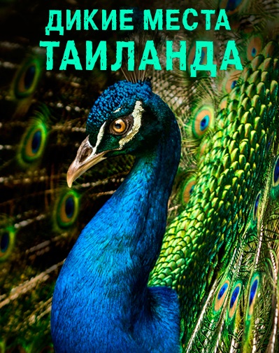 Дикие Места Таиланда/ Thailand'S Wild Side (2020)
(сезон: 01 серия: 01 - Охотничьи игры)