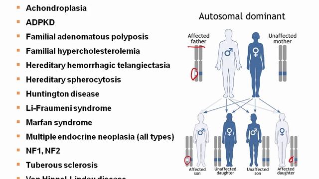 USMLE RX - 1.Биохимия - 2.Генетика - 2.Аутосомно-Доминантные Заболевания