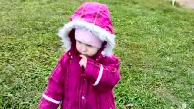 2008 г. 11-12 октября