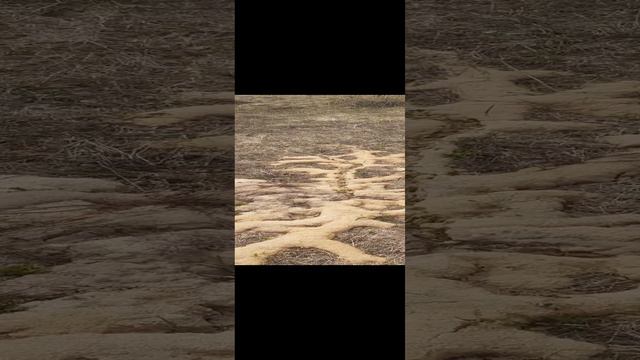 Кротовые узоры...