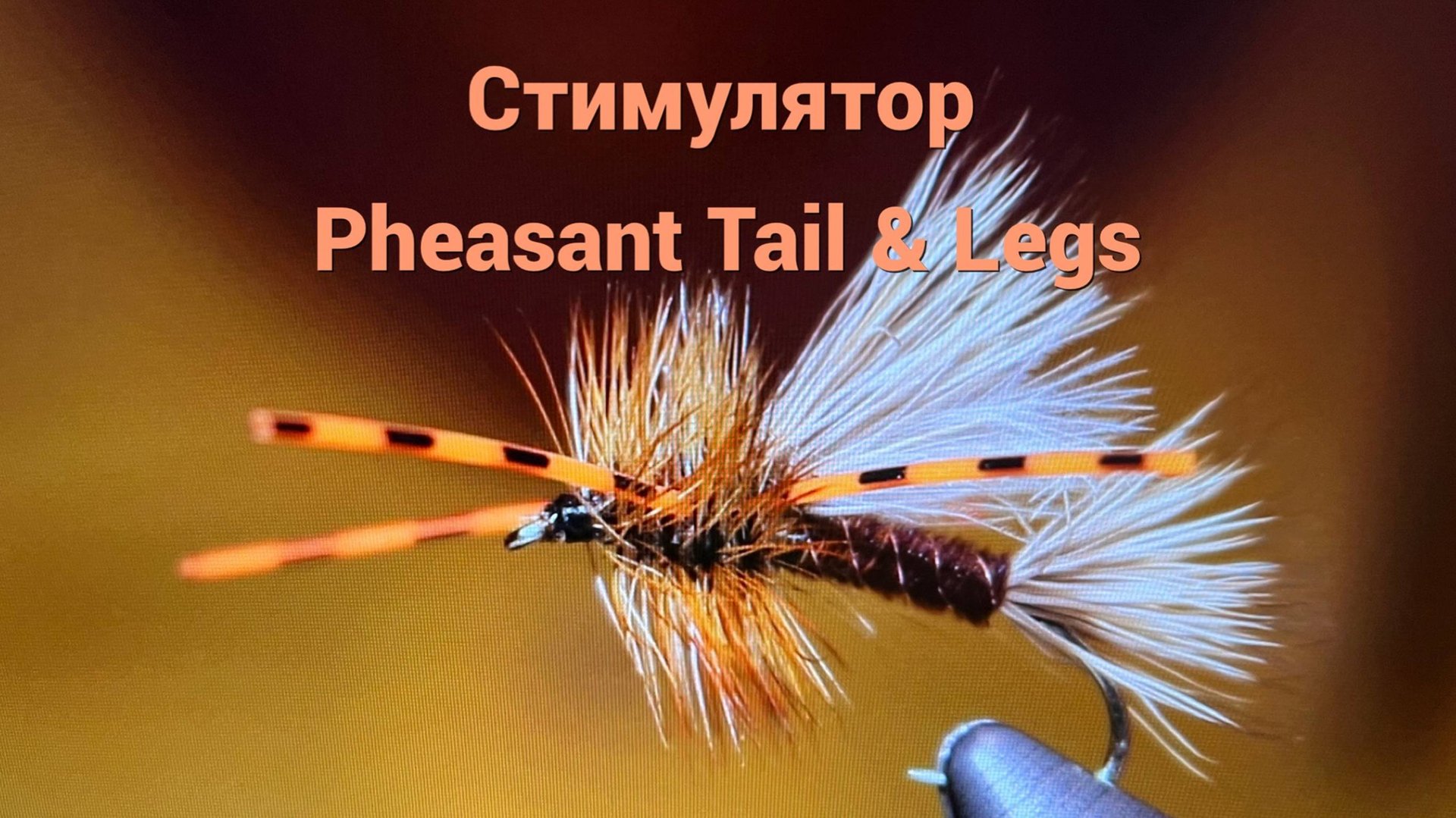 Сухая мушка Стимулятор Pheasant Tail & Legs Как связать от GM FLY