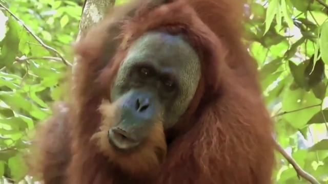 ИТОГИ ЕЖЕДНЕВНЫХ КЕЙСОВ _ ЮТЭ, 2021