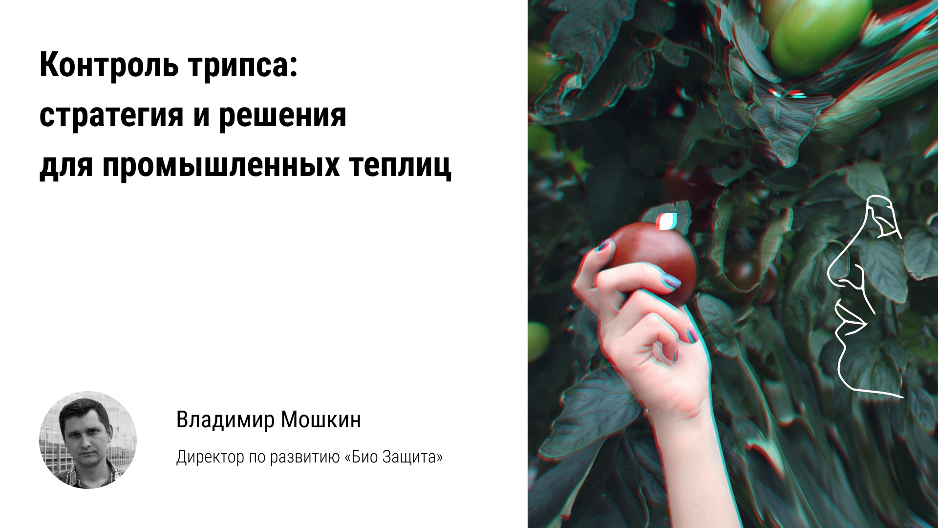 ? Контроль трипса: стратегия биологической защиты и решения для промышленных тепличных комплексов