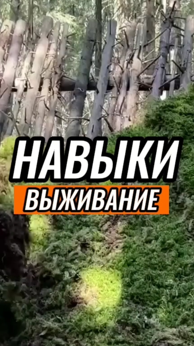 Постоянный лагерь бушкрафта - легкое укрытие из веток и мха.
#shorts #бушкрафт #навыкивыживания