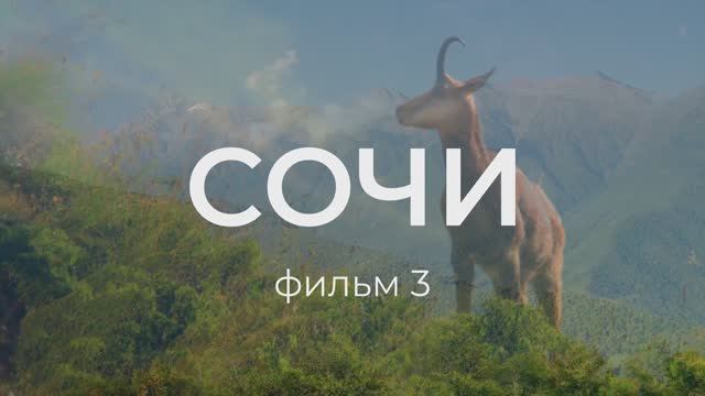 Сочи. Фильм 3. Национальные парки России