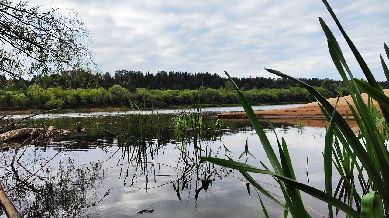 Рыбалка с ночёвкой. Жареные грибы с картошкой. Чай с брусникой. Рыбалка на резинку и донки. Часть 5.