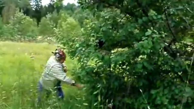 Остановка - яблоки