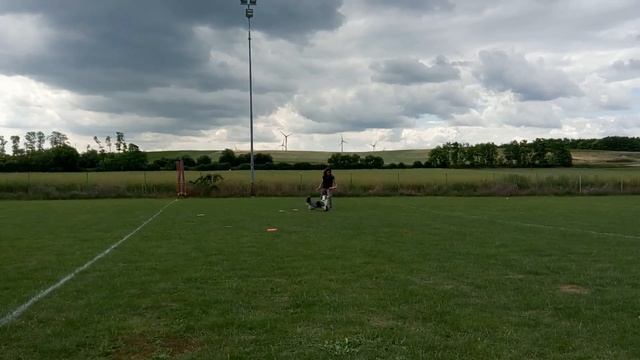 AWI Qualifier Austria'17 Petra & Blue.mp4