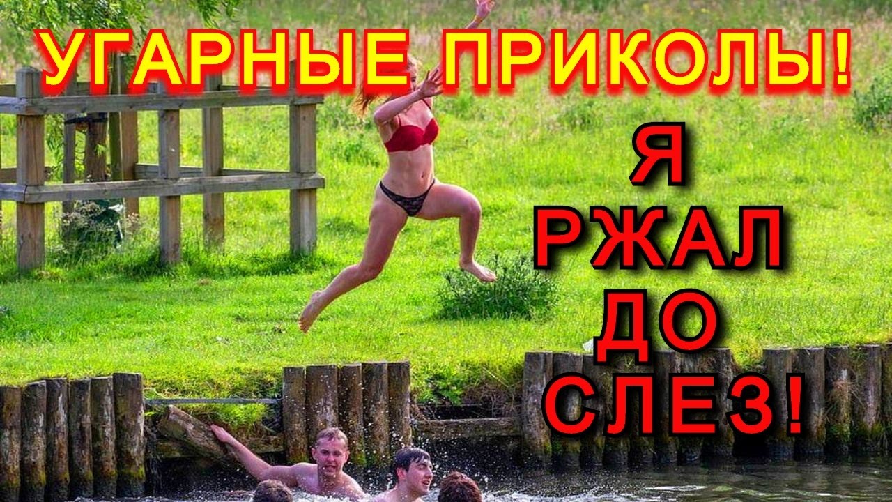 Лучшие Приколы 2022 Смешные видео КОТЫ и СОБАКИ - Я РЖАЛ ДО СЛЕЗ / Лучшие Приколы #137