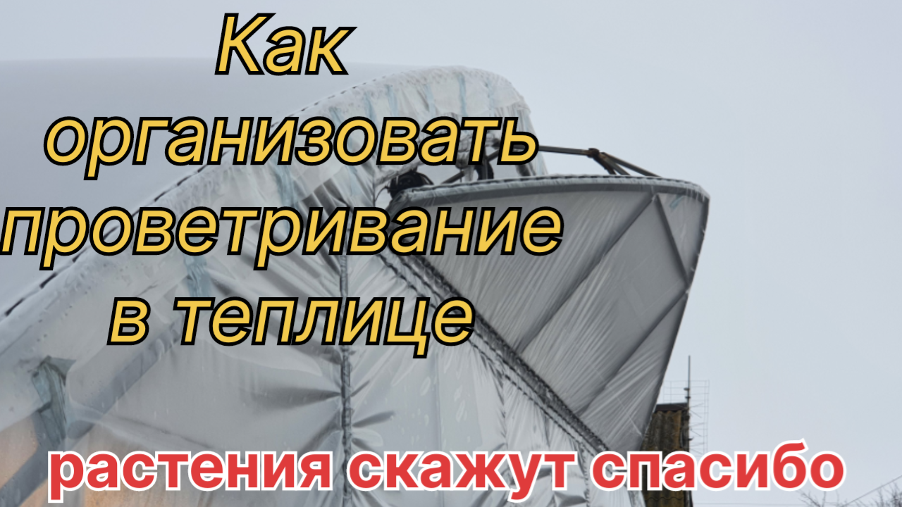 Окна в теплице для проветривания, делаем правильно