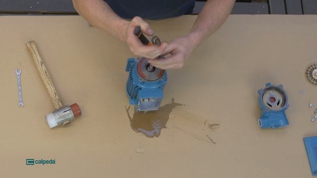 Calpeda CA / Разборка