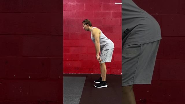 Тяга на прямых ногах + тяга к поясу