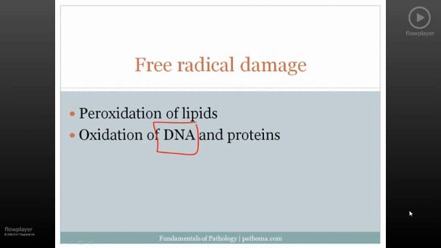Pathoma USMLE - I ГЛАВА - 4.Повреждение свободными радикалами
