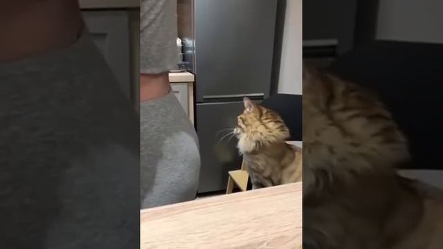 Не удержался