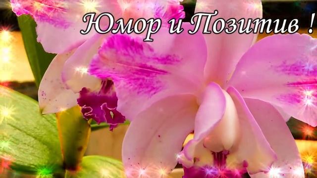 Грибник_116116 |С Днём Рождения в Мае! Шикарная Песня! Красивое Поздравление С Днём Рождения Для жен