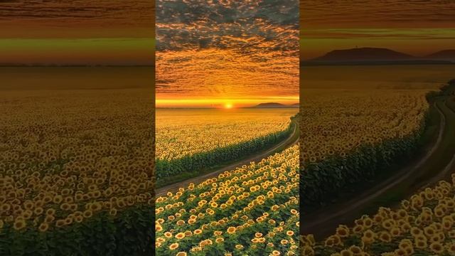 VID_20221222_214010_103.mp4