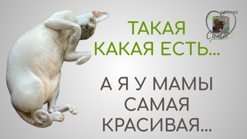 #такаякакаяесть