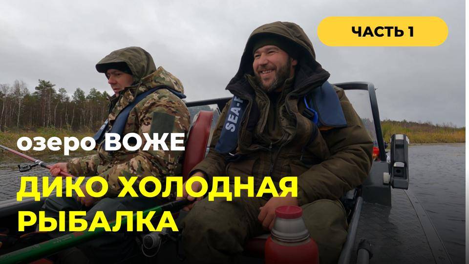 Осенняя холодная рыбалка на оз. Воже. Часть 1. Как не заморозить собаку в лодке :) #рыбалка