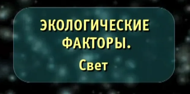 Экологические факторы. Свет. Биология