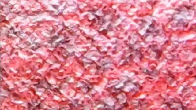 10 копеек 1997   2001 СПМД и ММД