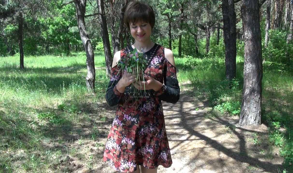 Стелла Авис. Порадуемся вместе лету